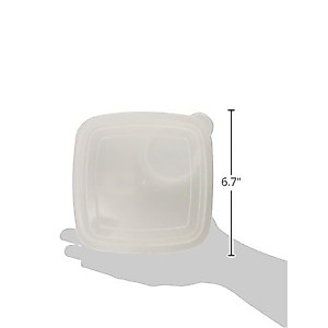 COMPAC HOME Take A Dip3 Deep Side Clear Food Storage Container - Divided Food Storage Containers with Lids - Microwave and Dishwasher Safe