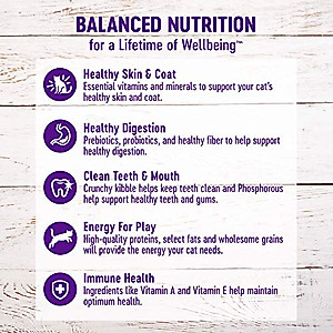 Wellness Complete Health Natural Hairball Control Chicken Meal & Rice Recipe Dry Cat Food, 5 Pound Bag