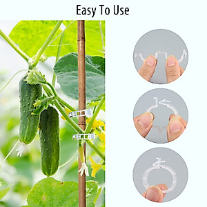 Tomato Clips, Plastic Trellis Clips, 100 Pcs Plant Support Clips, Grape Vine Tomato Vine, Garden Clips to Grow Upright Makes Plants Healthier for Tomato Cucumber Grape Vegetables Plants