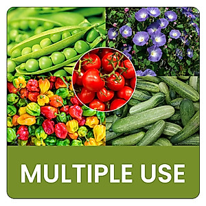 DXront Raised Garden Bed with Tomato Planter Box Trellis