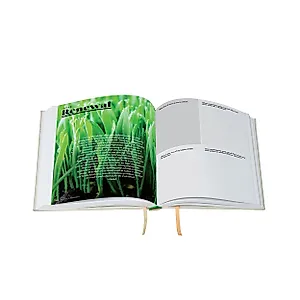Oprah's The Life You Want™ Planner: Part weekly planner, part intention journal, this powerful undated guide will help you set a vision for your life and intentions for each week