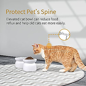 GOCESS Cat Food Bowls,Elevated-Cat Bowls for Food and Water,Ceramic Raised Cat Bowls for Indoor Cats and Small Dogs,Cat Dishes Set of 2,White