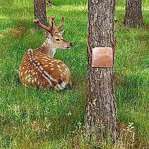 Fabbay 8 Pcs Lick Salt Round Pink 3.3lbs Salt Lick on Rope Natural Lick Salt Block Long Lasting Mineral Salt Block for Horse Deer Cow Goat Cattle Pig Small Pet and Livestock