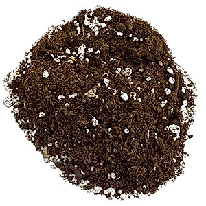 Avocado Tree Potting Soil Mix (12 Quarts), for Germinating, Growing and Repotting Avocado Plants