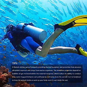 Seaskin 2 Pieces Shorty Wetsuit, 3mm Mens Medium Size and Womens Small Size Diving Suit Front Zip Wetsuit for Diving Snorkeling Surfing Swimming