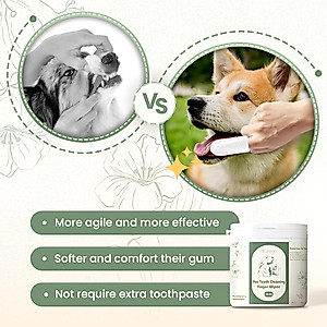 Dental Wipes for Dogs Teeth, Dog Teeth Cleaning Wipes, Dog Dental Care Wipes, Pet Dental Finger Wipes, Dog Toothpaste and brush, Cat Toothbrush, Reduce Plaque and Tartar, Freshen Breath,50 Counts