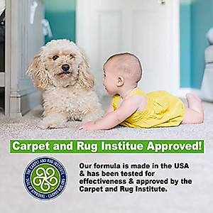 Urine Gone ProClean Stain and Odor Remover, Multi-Surface, Eliminates Tough Dog Cat People Stains, and Odor on Wood, Carpet, Vinyl, and Tile Floors, 20 Fl Oz