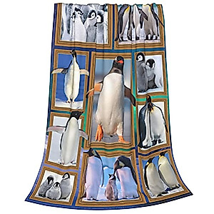 Penguin Blanket Throw Blanket Flannel Fleece Blanket Soft Fuzzy Lightweight Blanket for Sofa Bedroom Couch 60"x50"