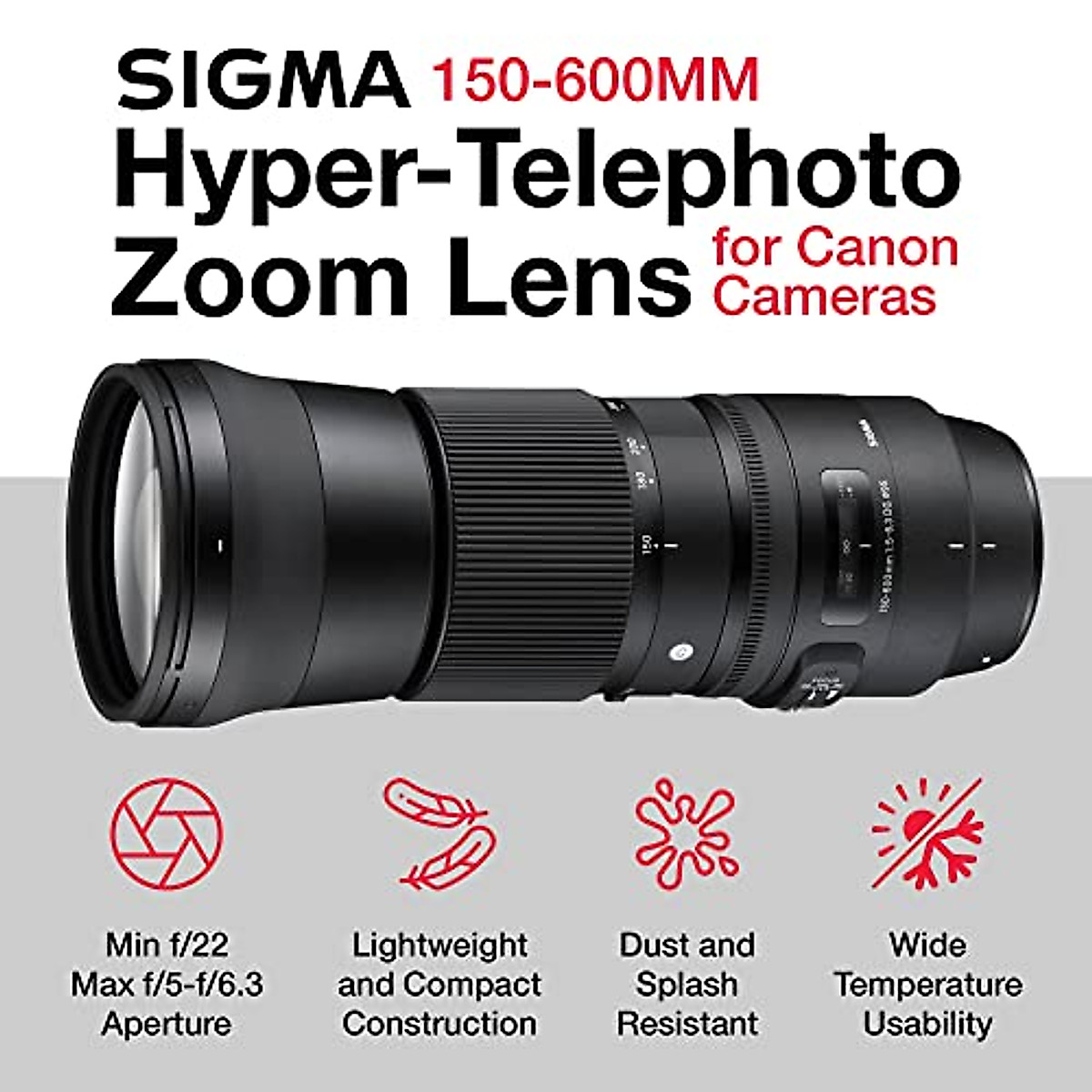 Sigma 150-600mm Canon Zoom Telephoto Lens F/5-6.3 DG OS HSM Bundle with Sigma Lens for Canon, Front and Rear Caps, Lens Hood, Lens Case, 2X 64GB SanDisk Memory Cards (7 Items) - Sigma 150 600 Lens