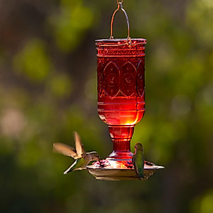 More Birds Red Jewel Hummingbird Feeder, Glass Hummingbird Feeders for Outdoors, 5 Feeding Stations, 20 Ounces