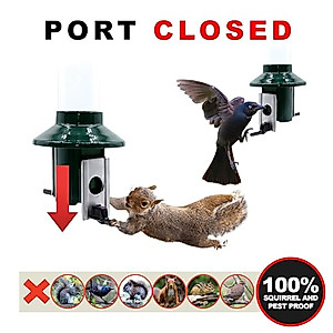 Roamwild PestOff Squirrel Proof Wild Bird Feeder Mixed Seed Sunflower Heart Version - Green - 3LBS Seed Capacity – 21”x8”x8” (w/Hanger)