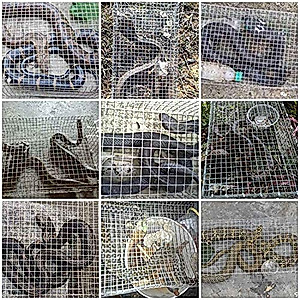 AMZTraps Large Dual Entrance Humane Snake Trap - Catches and Release All Kinds of Snakes - Reusable!