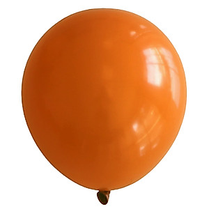 Beaumode Daisy Groovy Balloon Garland Arch Kit 143pcs for Mother's day Best Mom Ever Here Comes the Sun Baby Shower Sunshine Birthday Boho Retro Party Decorations(Burnt Orange)