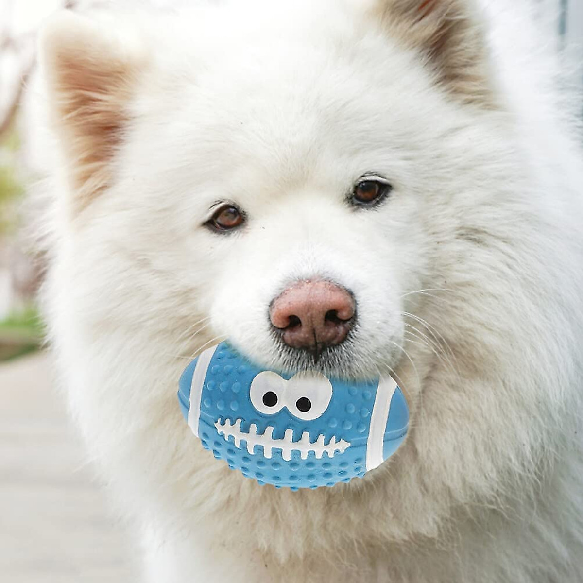 Ipetboom Pet Ball Toy Portable Puppy Balls Small Dog Toy Dog Chew Toys Dog Toys for Medium Dogs Balls for Small Dogs Puppy Toys Dog Toys for Small Dogs Convenient Dog Balls Small Dog Balls