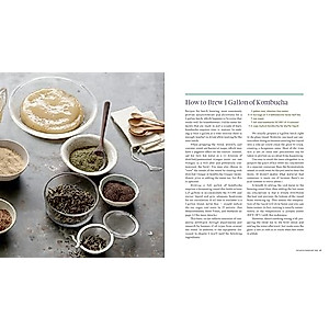 The Big Book of Kombucha: Brewing, Flavoring, and Enjoying the Health Benefits of Fermented Tea