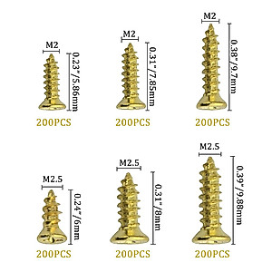 XINGYHENG 1200pcs 6 Kinds M2 M2.5 Gold-Plate Carbon Steel Flat Head Self Tapping Screw Stainless Cross Recessed Pan Head Screw Assortment Kit Collected in A Convenient Case