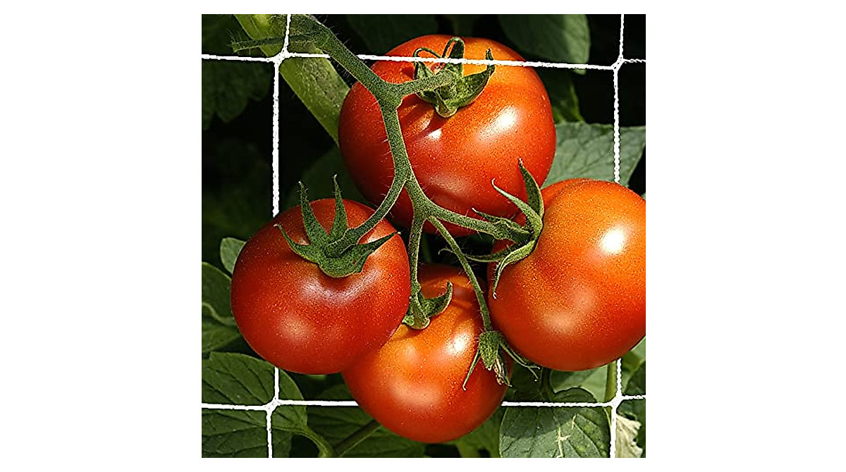 CANAGROW Heavy-Duty Garden Trellis Netting - 6x15ft