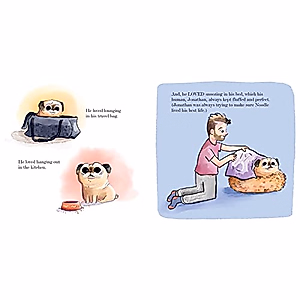 Noodle Conquers Comfy Mountain (Noodle and Jonathan)