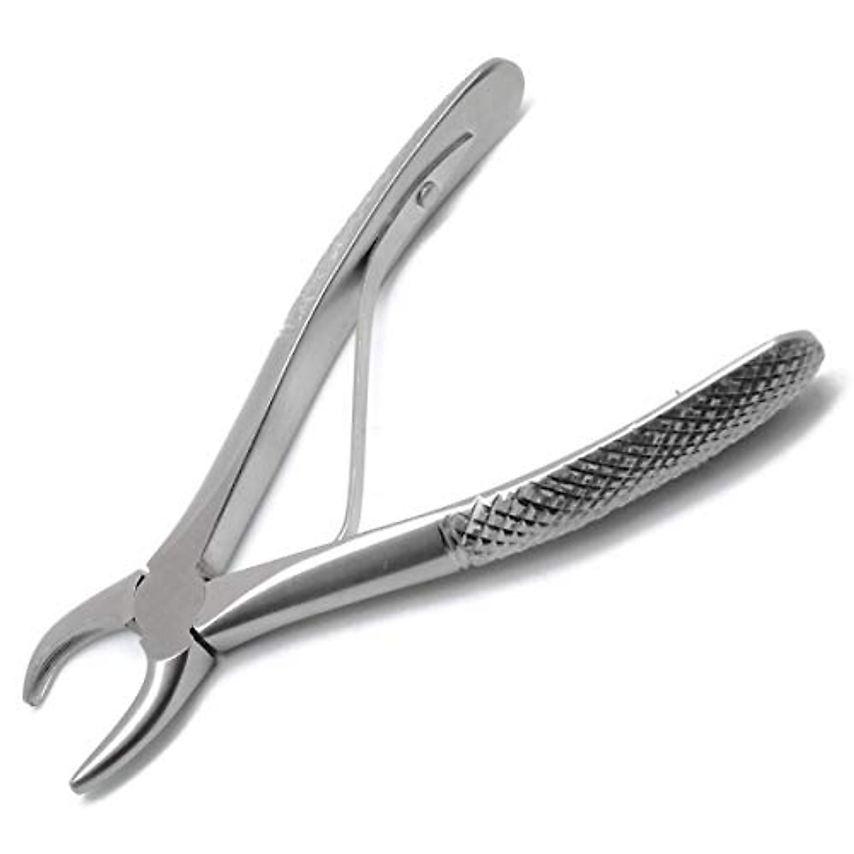 Dental Tartar Forcep 4.5" Calculus Remover Tooth Scraper Veterinary Instrument