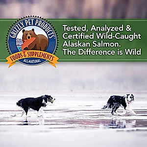 Grizzly Salmon Plus Omega Fatty Acids Food Supplement for Dogs & Cats (Various Sizes) - Wild-Sourced Omega 3-6-9, Wild Alaskan Salmon Oil (64 Fl Oz)