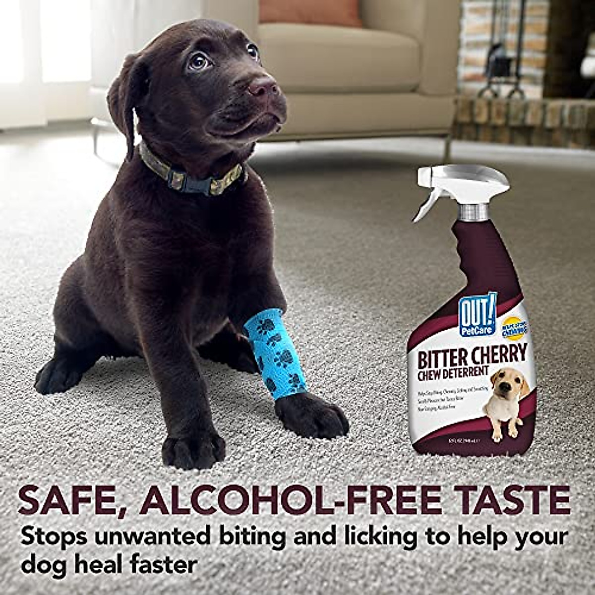 OUT! PetCare Bitter Cherry Chew Deterrent | Deterrent for Puppy Training to Discourage Licking and Chewing | 32 oz