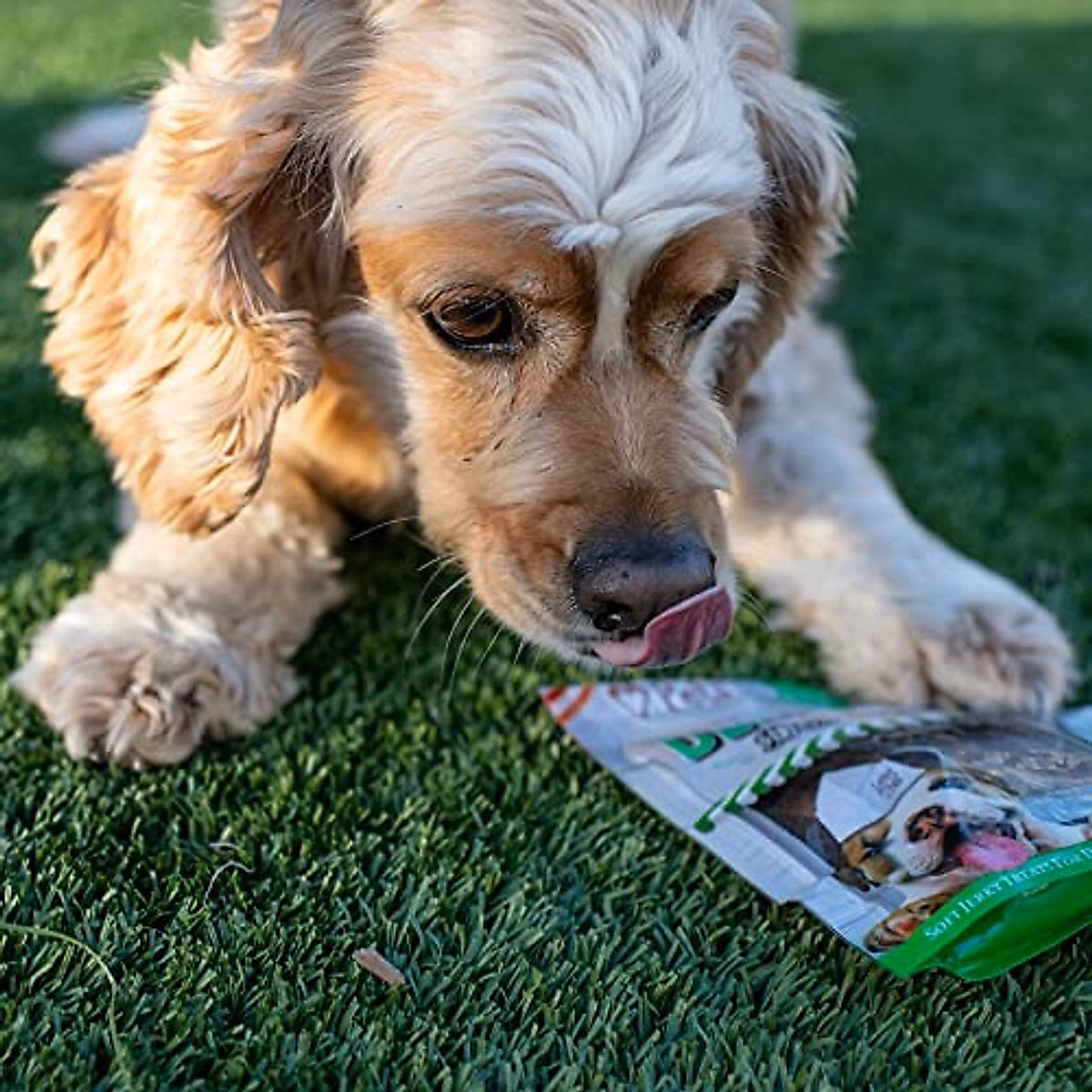 Loving Pets Toothsticks – Fresh Mint Dental Sticks for Dogs (for medium/large dogs 20-100+ lbs)