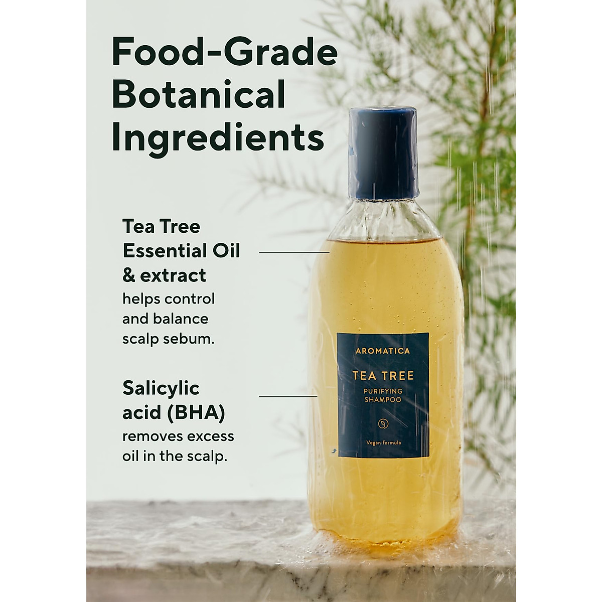 AROMATICA Tea Tree Purifying Shampoo 13.53fl.oz./400ml, Tea Tree Shampoo for Oily Hair and Scalp, Sulfate Free, Vegan