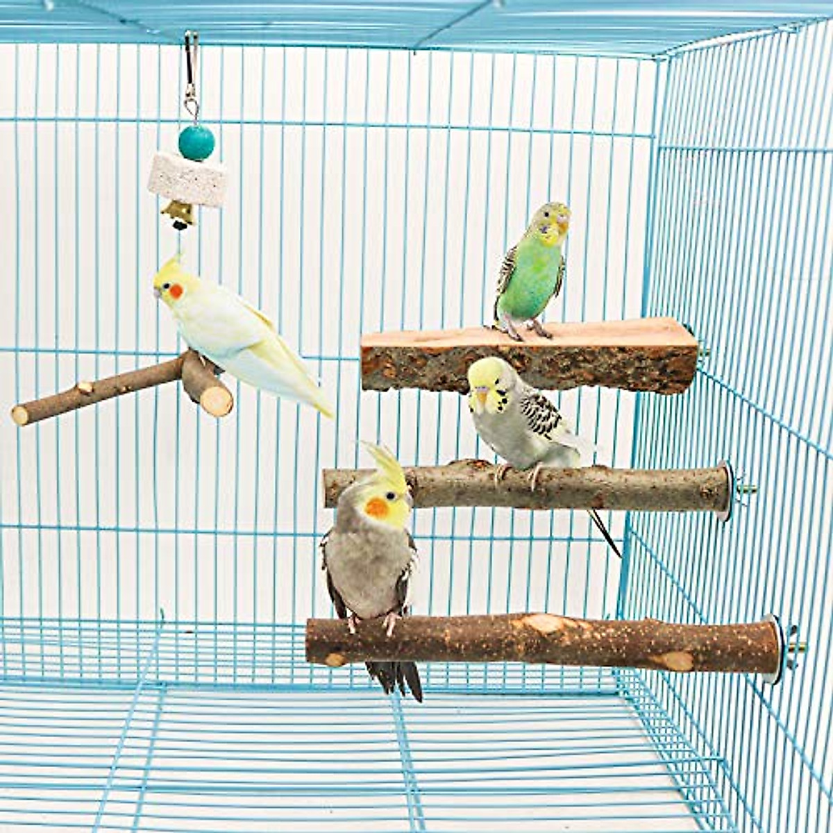 4 Pack Natural Wood Bird Perch for Bird Cages,Parrot Stand Perch Platform Exercise Playground Toys Paw Grinding Stick Perch Stand Cage Accessories for Budgies Cockatiel Conure Parakeet Lovebirds (H01)