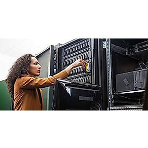 Western Digital WD Gold 16 To (WD161KRYZ)