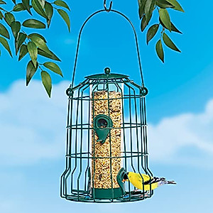 Collections Etc Easy View 4-Perch Steel Cage Birdfeeder - 8 oz. Capacity