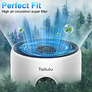 Air Purifier Filter for Tailulu D10 Air Purifier, 3-in-1 H13 Grade True HEPA Replacement Filte, D10 Replacement Filter 1 Pack