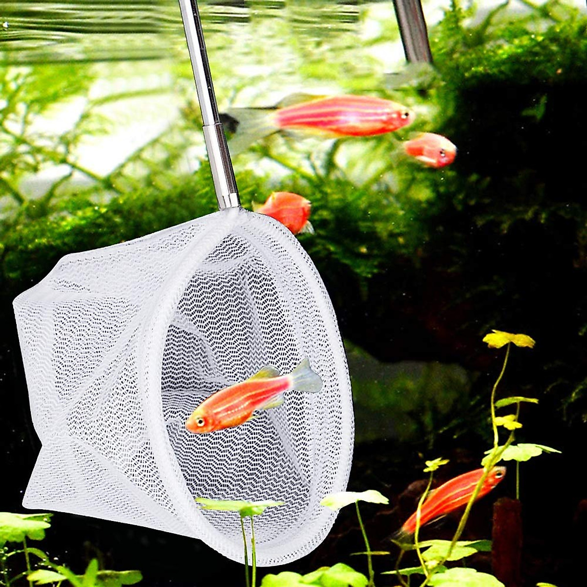 01 Fishing Net, Fishing Catch Net, Long Handled Fishing Net Retractable Fishing Net Telescoping for Fishes Crab Shrimps Lobster