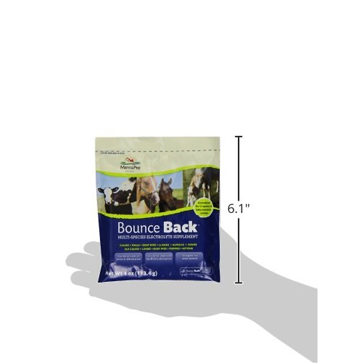 Manna Pro Bounce Back Supplement | Multi-Species Electrolyte | 4 oz