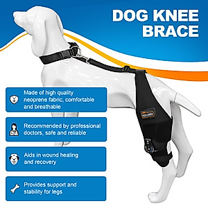 CHAMIN/RISURRY Adjustable Dog Knee Brace with Extra Collar, Support for Torn Acl Hind Leg, Tear Ligament, Osteoarthritis,Rear Leg Limp, Recovery After Surgery,et（Left Leg,L）