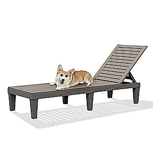 DIMAR GARDEN Outdoor Lounge Chair,Pool Chaise Lounge Waterproof Sunloungers,Taupe