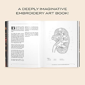 Stitchcraft: An Embroidery Book of Simple Stitches and Peculiar Patterns