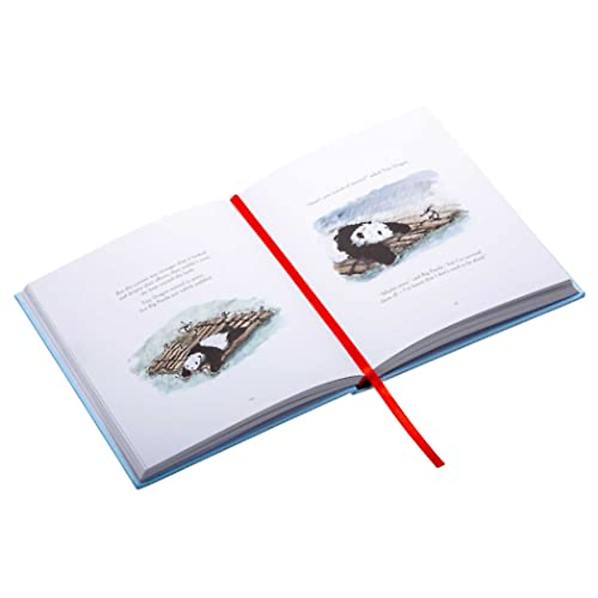 The Journey: Big Panda and Tiny Dragon