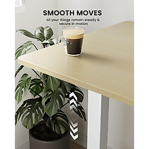 ErGear Height Adjustable Electric Standing Desk, 48 x 24 Inches Sit Stand up Desk, Memory Computer Home Office Desk (Natural)