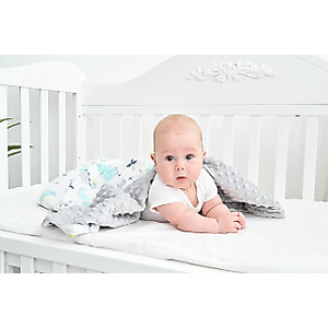 Baby Blanket for Boys Girls Soft Micro Fleece Kids Baby Blanket Throw Blanket with Dotted Backing Shower Gifts 40x30 Inches (Dinosaur)