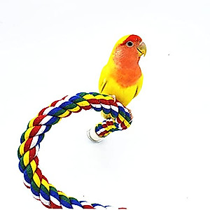 Bird Cage Rope Perch, Parrot Multicolor Flexible Rope Perch, Rope Bungee Bird Toys for Parakeets Cockatiels, Conures, Lovebirds, Finches (39.4 Inch)