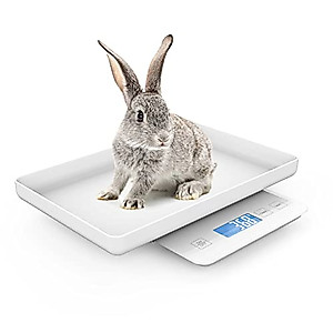 Multifunctional Newborn Pet Scale with a Tray to Weigh Cats and Puppy, 33lbs with Accuracy ±0.03oz, Suitable for Pets and Kitchen Use, Tray Size 11.5"x 9"in (White)