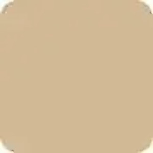 NARS Natural Radiant Longwear Foundation - Punjab by NARS for Women - 1 oz Foundation