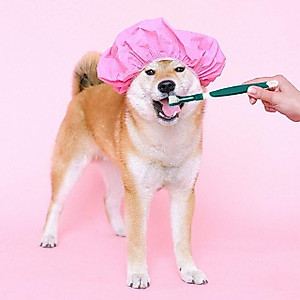 YuanHolumid Dog Toothbrush, Triple Headed Toothbrush Dog Toothbrush for Pet Dental Care Health Supplies