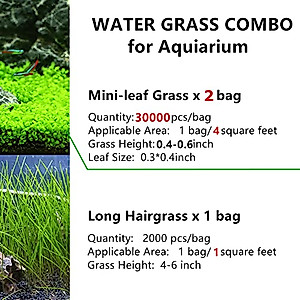 3 Pack Live Aquarium Plant Seeeds, Fresh Water Fish Tank Carpet Grass Plants Mini Leaf & Long Hair Grass for Terrarium Aquatic 21c