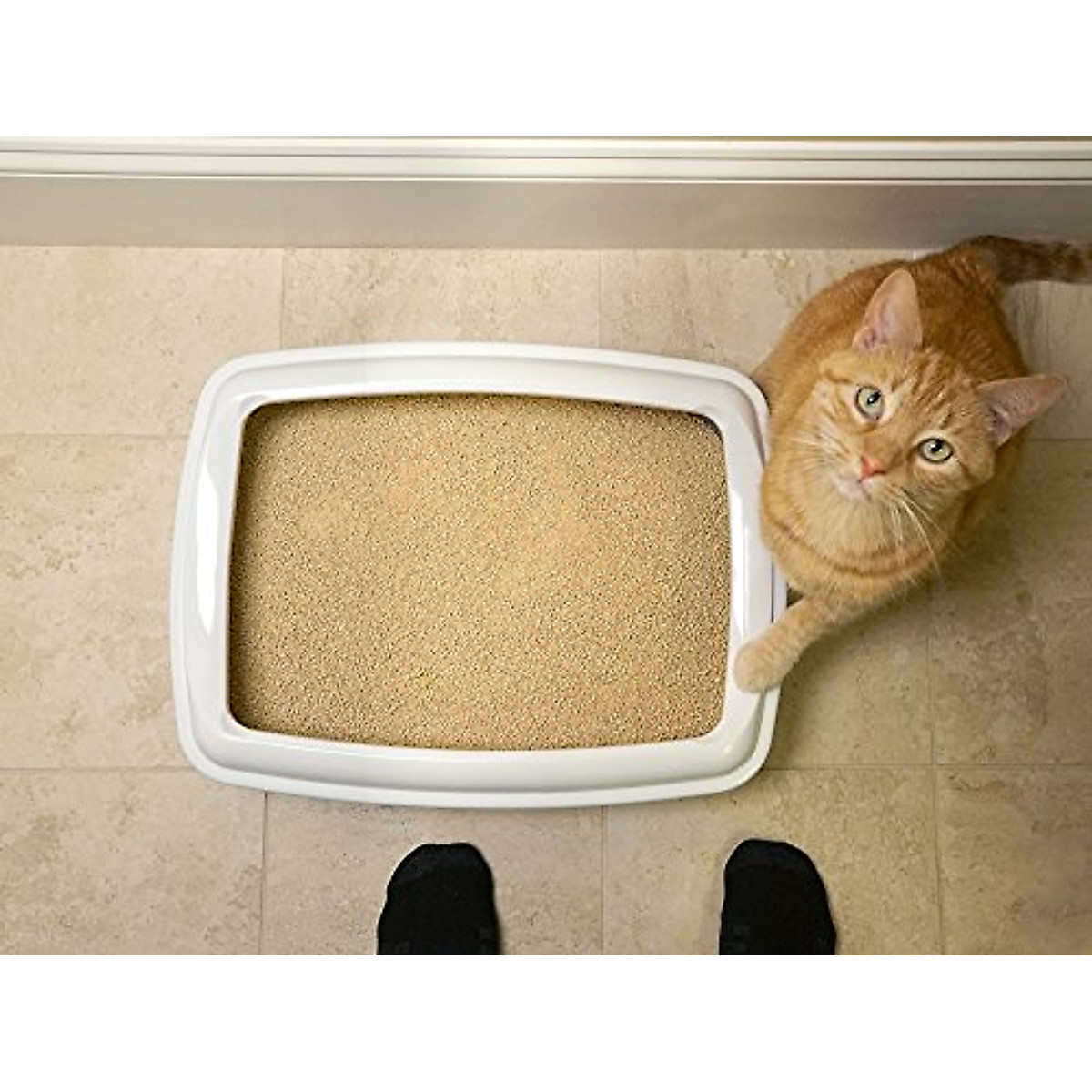 World's Best Cat Litter, Clumping Litter Formula, 28-Pounds