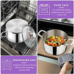 P&P CHEF Tri-Ply Stainless Steel Stockpot (5 QT), Large Stock pot with Visible Lid for Soup Pasta Vegetable, Induction Cooking Pot for All Stoves, Heavy-Duty Pot with Double Handle, Dishwasher Safe