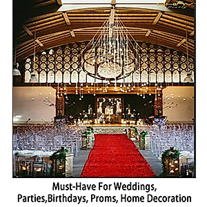 ShinyBeauty Sequin Aisle Runner 2Ft x 15Ft Red Carpet Runner Ourdoor Aisle Runner for Wedding Ceremony Red Aisle Runner Glitter Runner for Wedding Hallway Runner Rug 15 FT Aisle Runner Rug