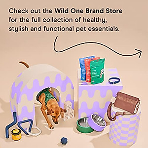 Wild One Poop Bag Holder and Dispenser for Dogs with Leash Attachment, Leak Proof, Easy Twist Top for Refills, Includes 1 Roll, Black