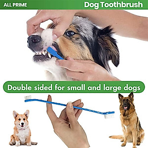 Teleyi Dog Toothbrush Kit,4-Piece Set with Toothpaste Fingerbrush,Cat Teeth Cleaning,Pet Oral Dental Care Fresh Breath Brush,Cute Puppy Whitening Cleansing for Small Large Dogs,Beef Flavor