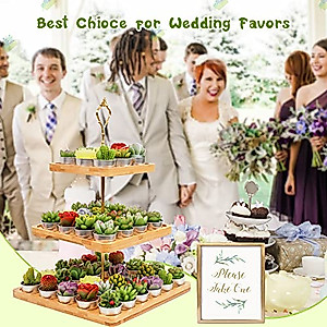 AIXIANG 12Pcs Cactus Candles Succulent Candles, Wedding Party Favors for Guests, Bridal Shower Candles Favors, Housewarming Favor, Baby Succulents Favors Baby Shower, Christmas Gifts